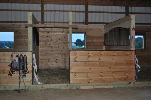 Barn Improvements Part 2: Custom Arched Horse Stalls